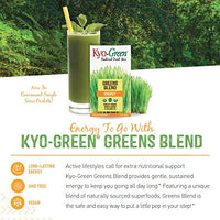 Kyo-Green Green Blends Energy Powered Drink Mix, 10 Ounce Bottle ...
