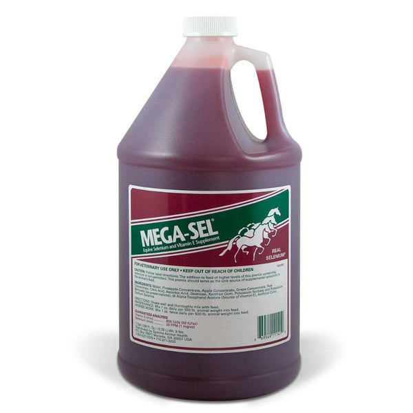 Buy Mega-Sel Liquid Formula for Horses, 1 Gallon (128 Fl oz) Online ...