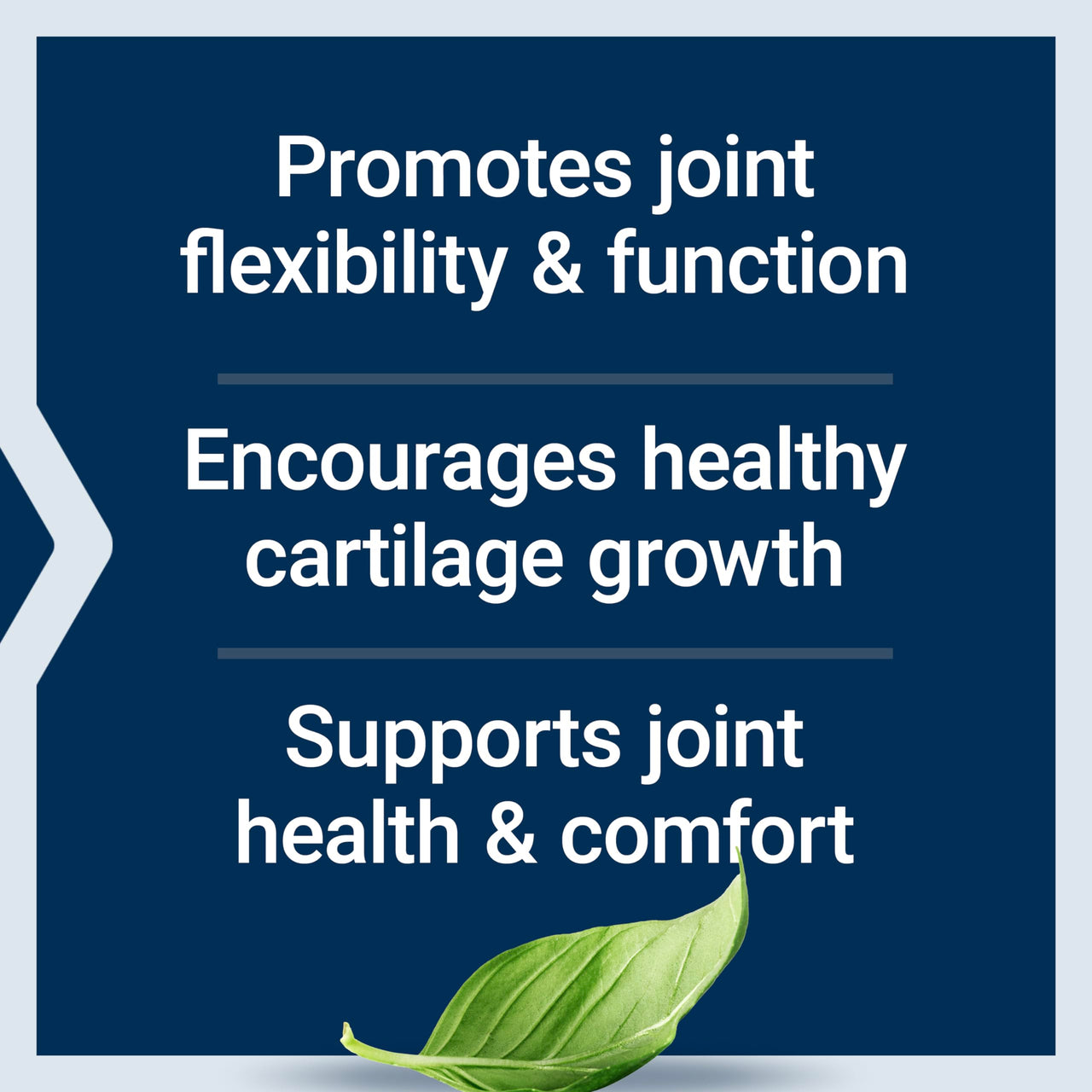 Life Extension NT2 Collagen™, Joint Health Supplement for Joint Comfor ...